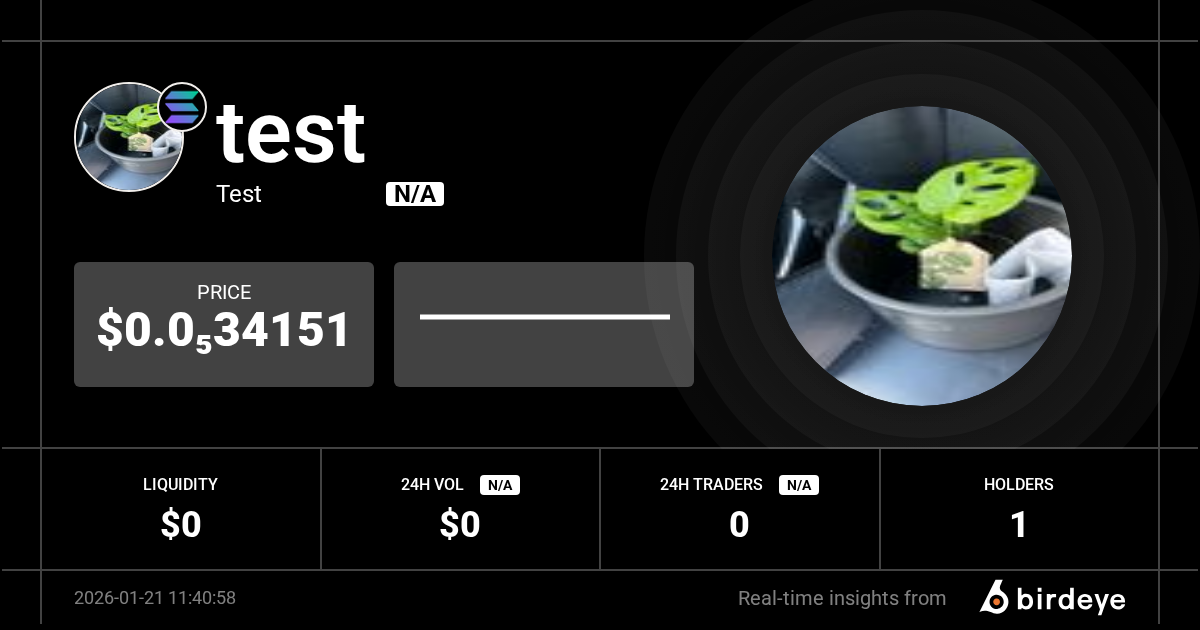 test Price on solana | Birdeye